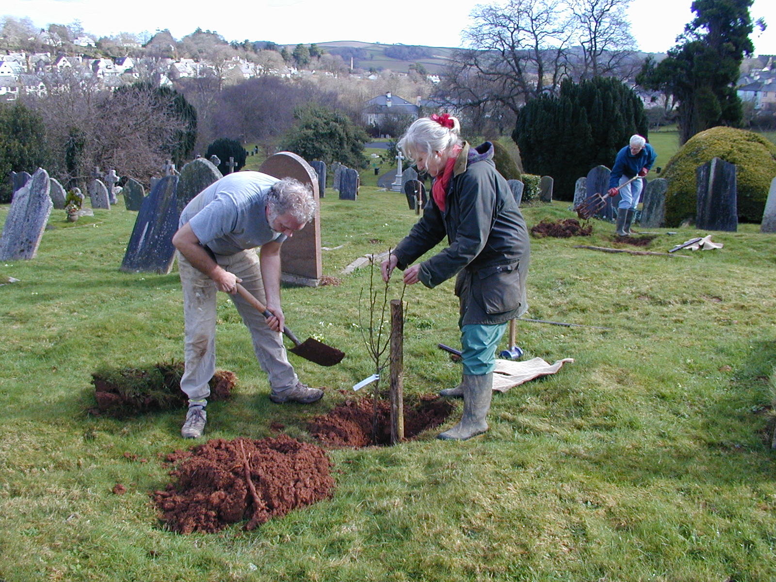 An Update on Totnes Nut Tree Plantings » Transition Culture