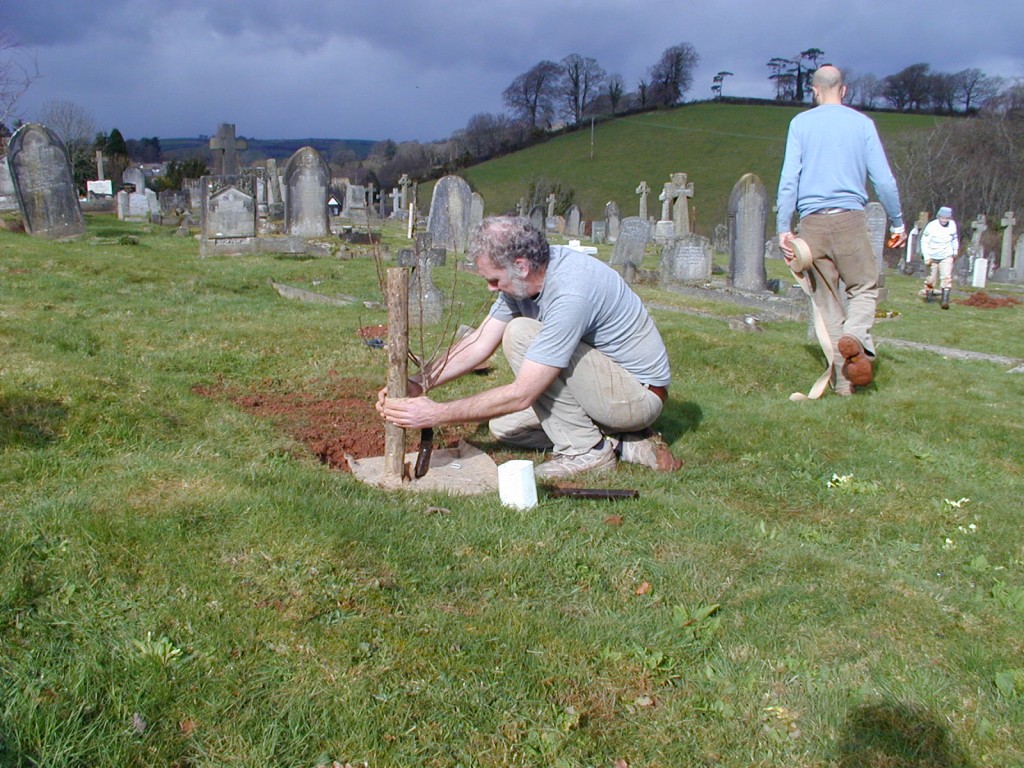 An Update on Totnes Nut Tree Plantings » Transition Culture